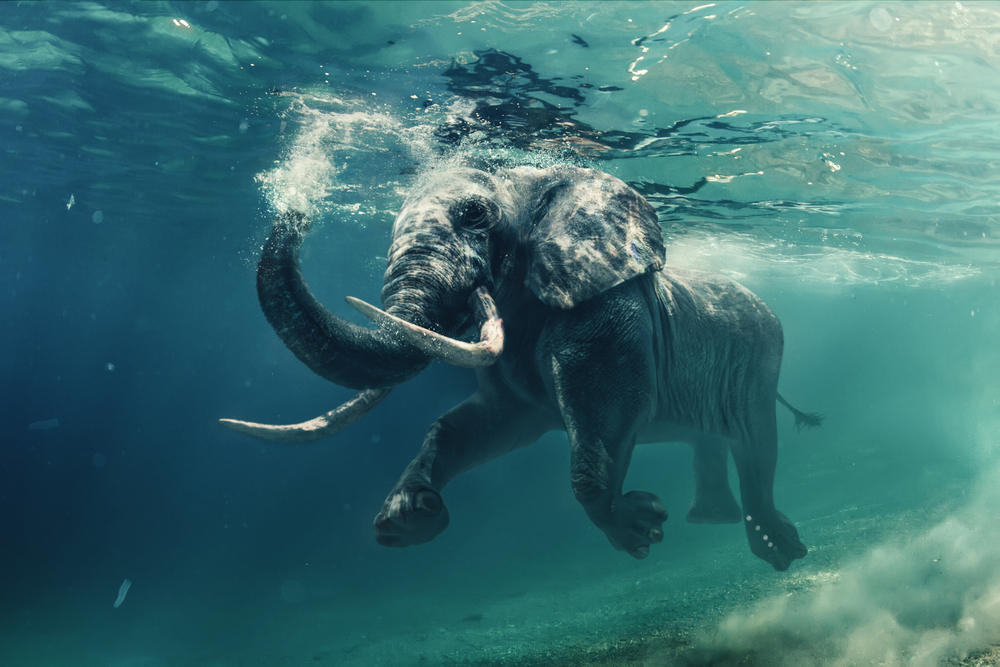SaintBear Uses New Set Of Payloads To Target Ukrainian Organizations Cyware Alerts Hacker News saintbear-uses-new-set-of-payloads-to-target-ukrainian-organizations-cyware-alerts-hacker-news