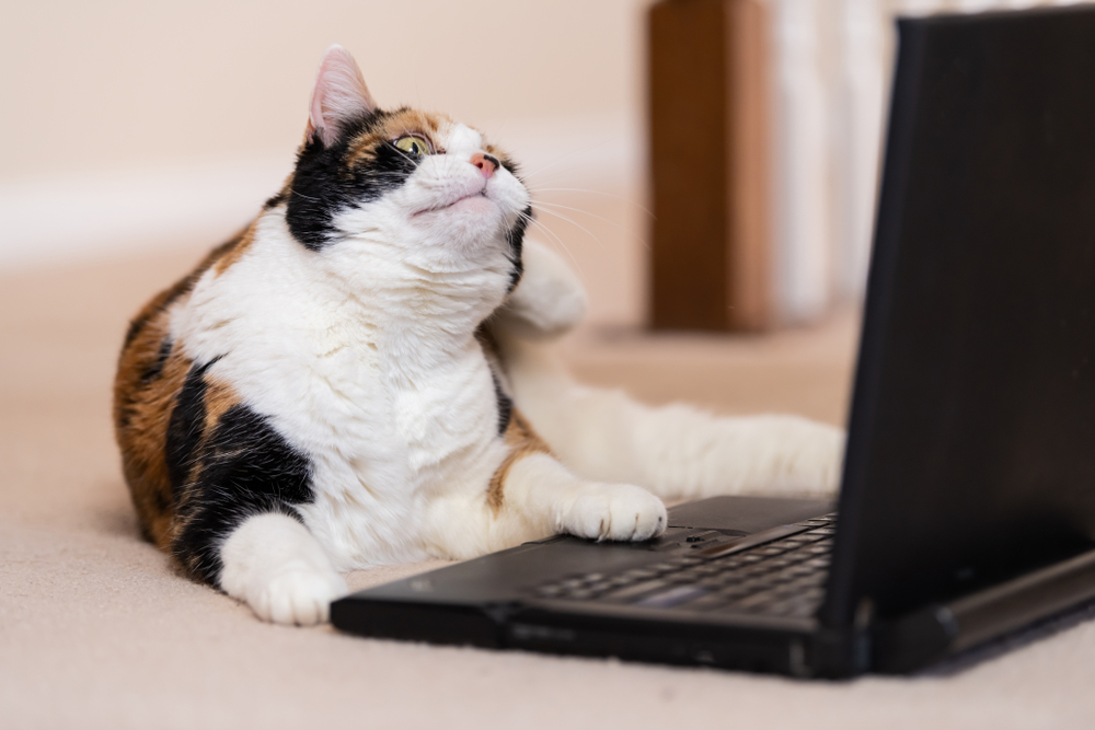 This Website Has Solved Cybersecurity Cyware Alerts Hacker News