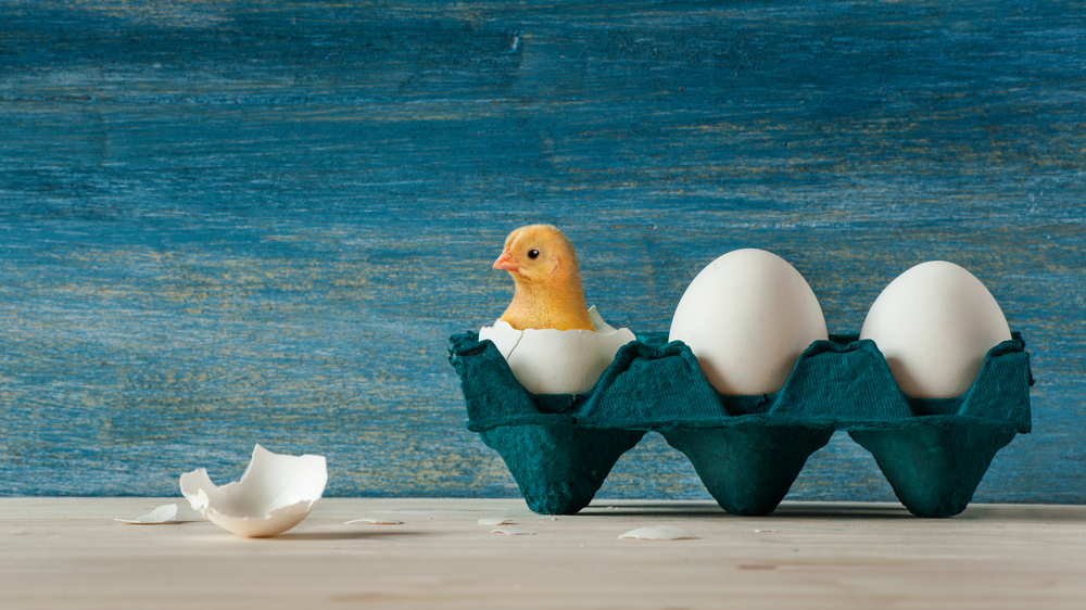 Hacking Teams New Owner ‘were Starting From Scratch Cyware Alerts Hacker News